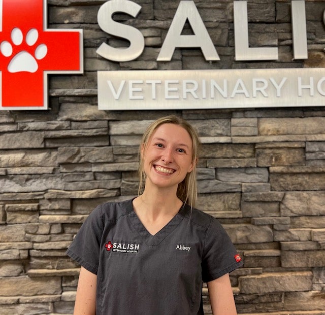 Abbey | Salish Veterinary Hospital